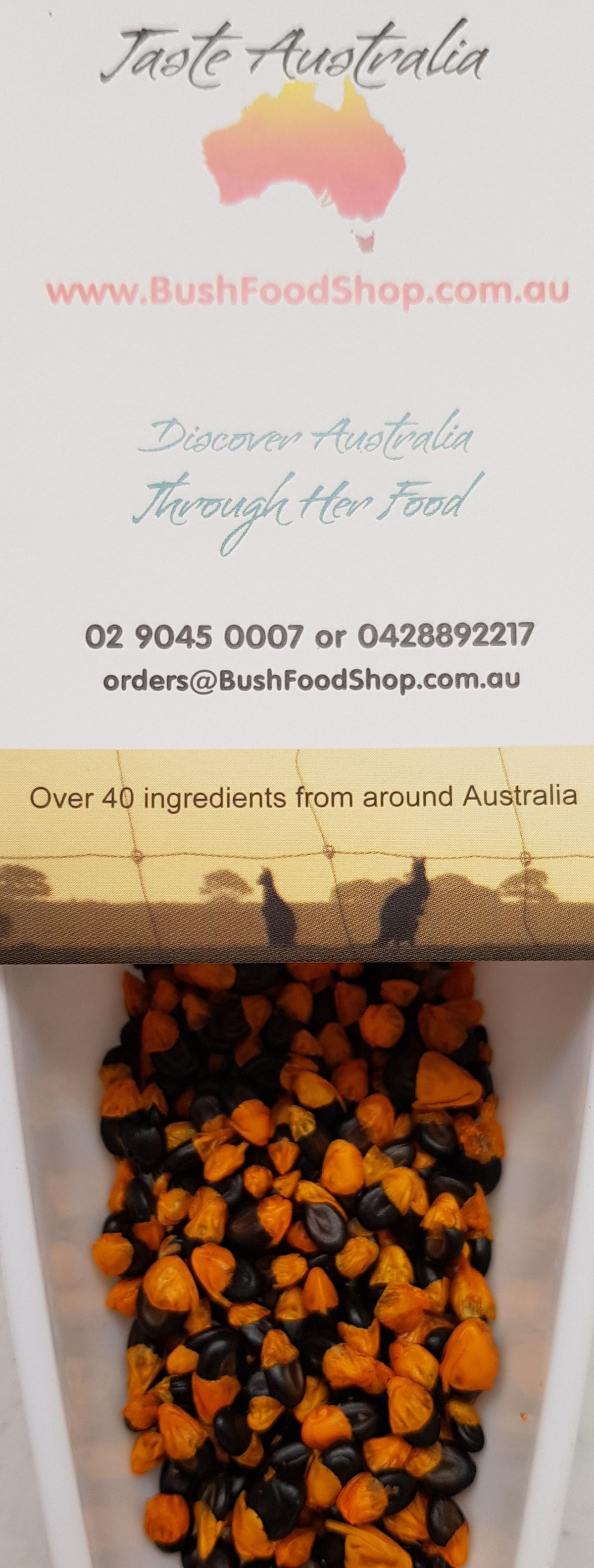Wattleseed (Anti-inflammatory & digestion) – Bush Food Australia