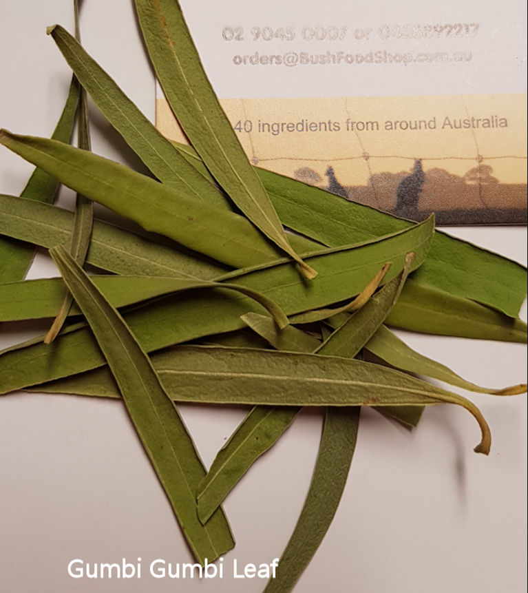 Gumbi Gumbi (Colds, cramps & itching) – Bush Food Australia