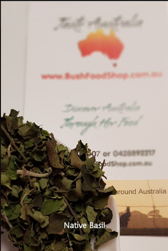 Native Basil (Headaches & colds) – Bush Food Australia