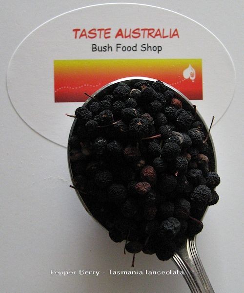 Pepperberry (Anti-inflammatory) – Bush Food Australia